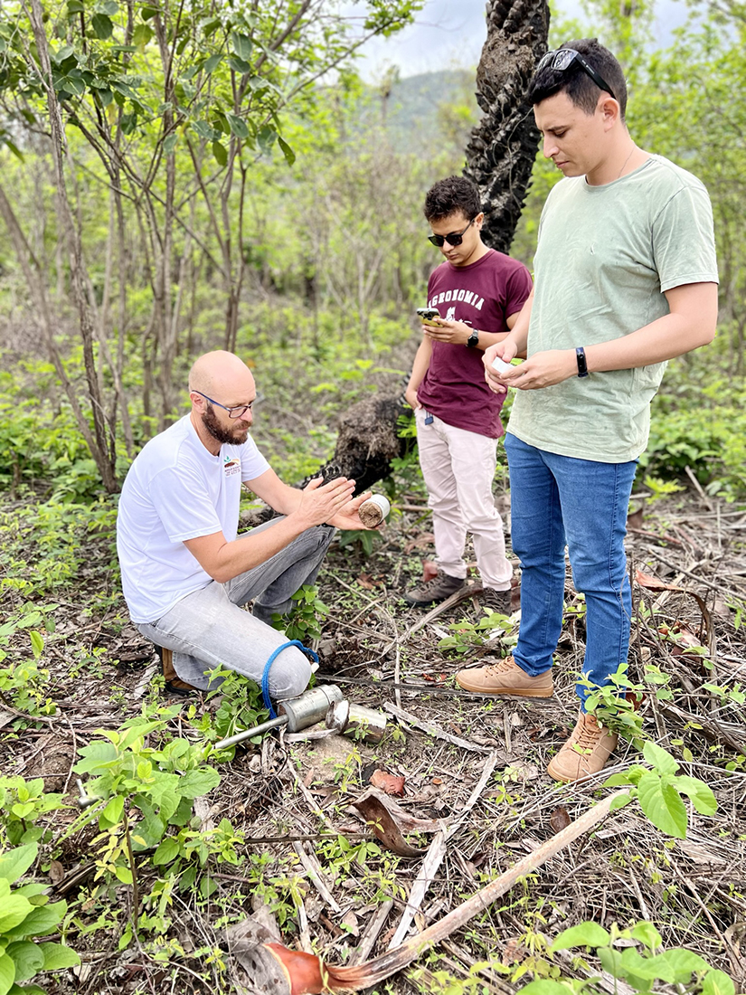 The influence of the extractive activity over native carnauba forests ...